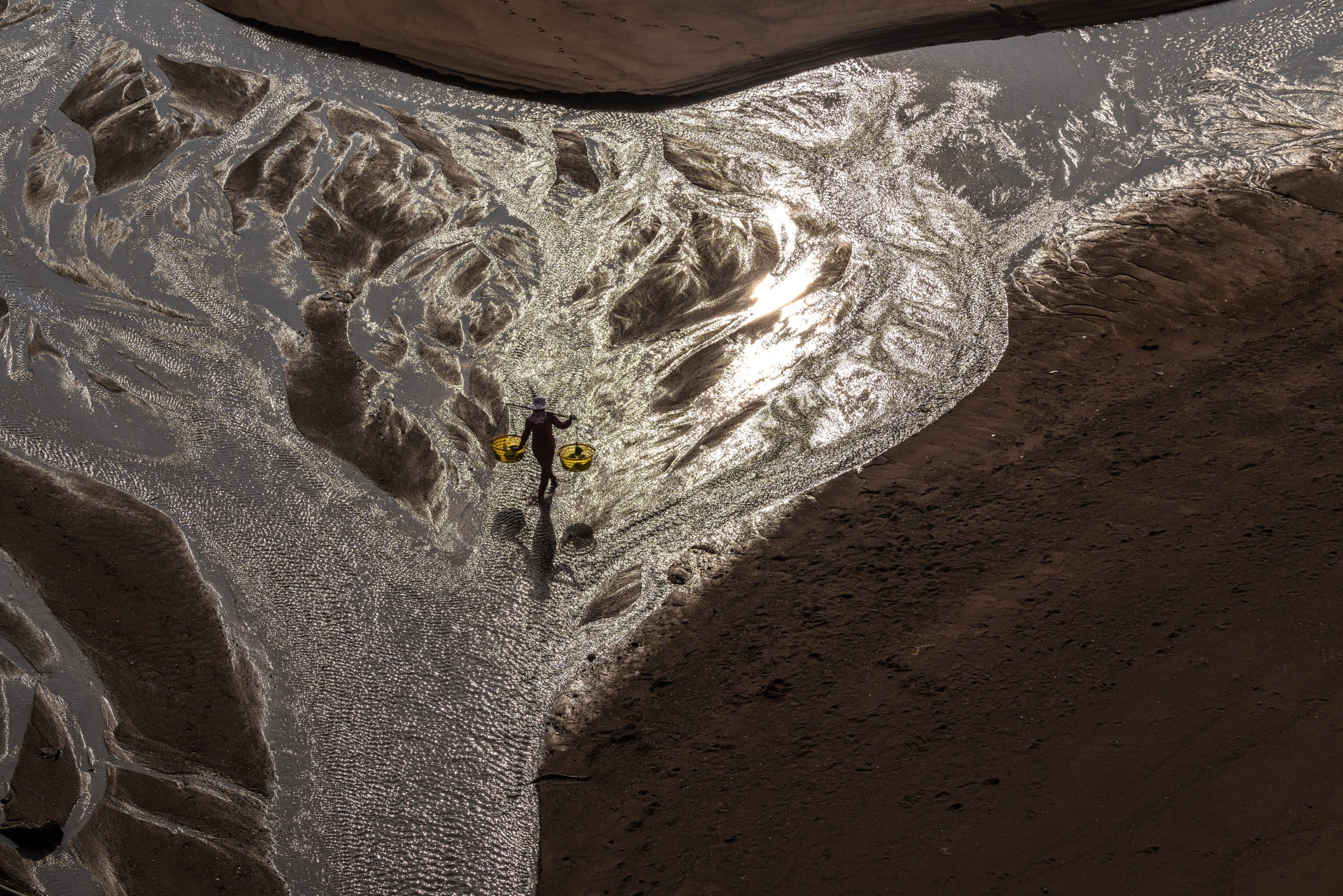 Mud Flats - Shop Chroma Art